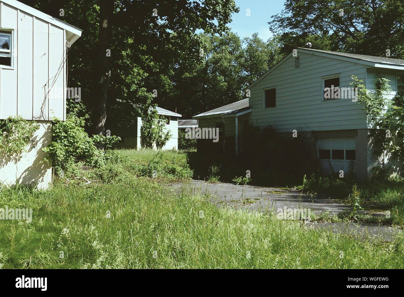Overgrown Yard High Resolution Stock Photography and Images - Alamy