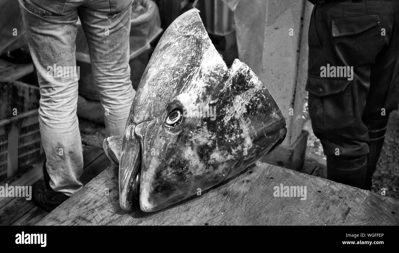 Broken Fish High Resolution Stock Photography and Images - Alamy