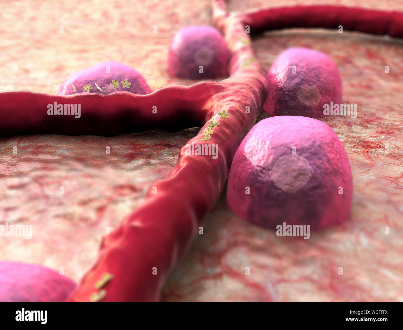 field of cells, macrophages attack the cells, viruses attack the cells ...