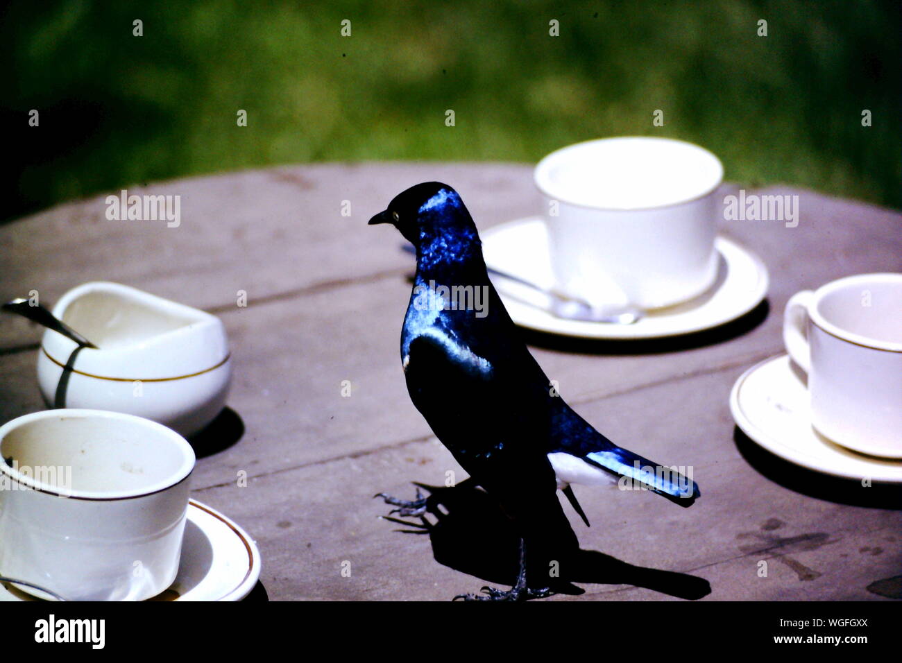 No one empty table hi-res stock photography and images - Alamy