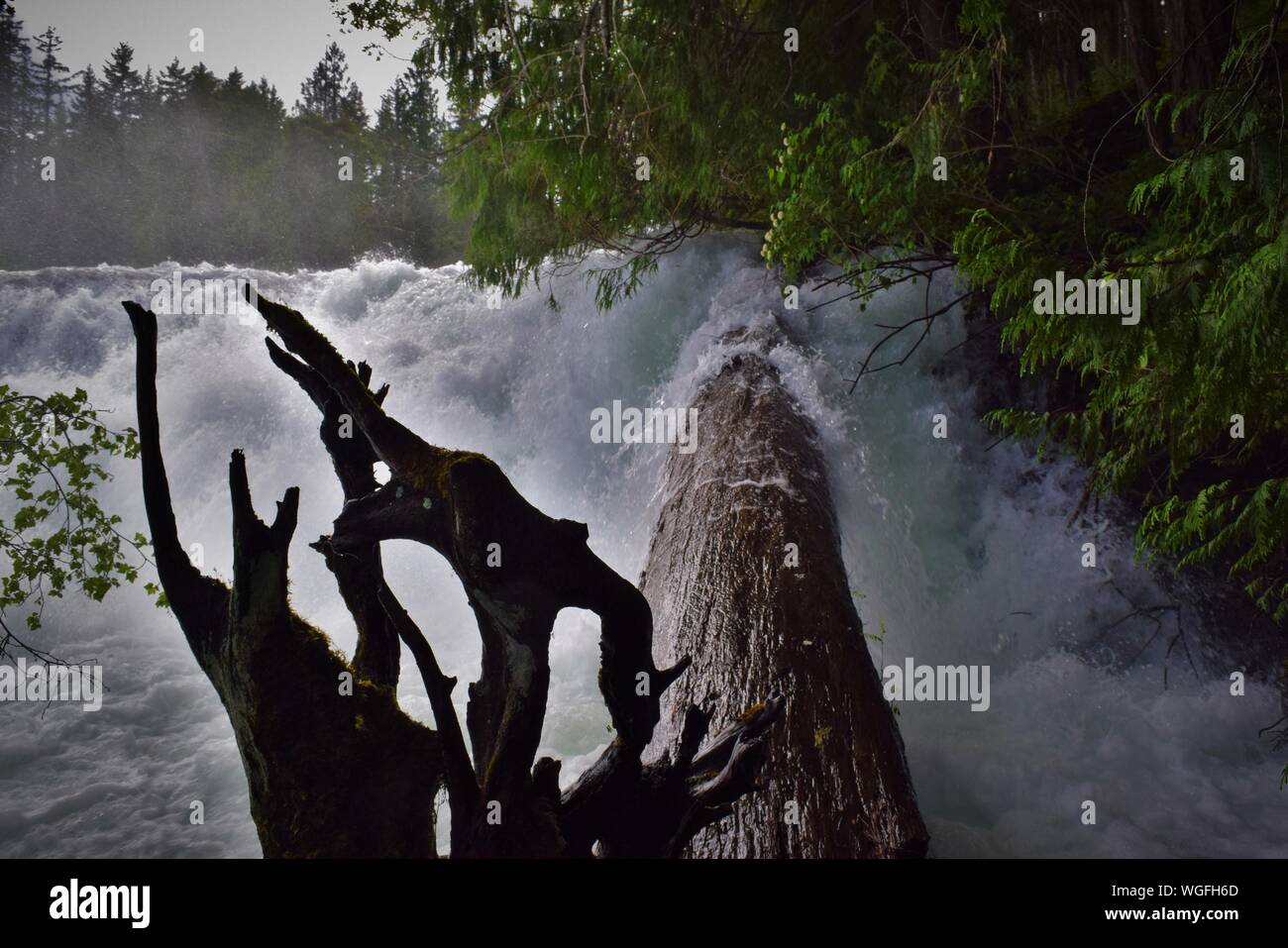 Fallen Tree Log In Waterfall Stock Photo - Alamy