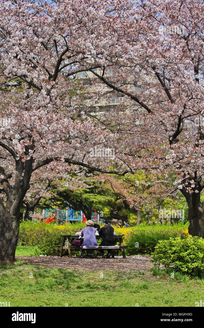 People sitting at picnic table hi-res stock photography and images - Alamy