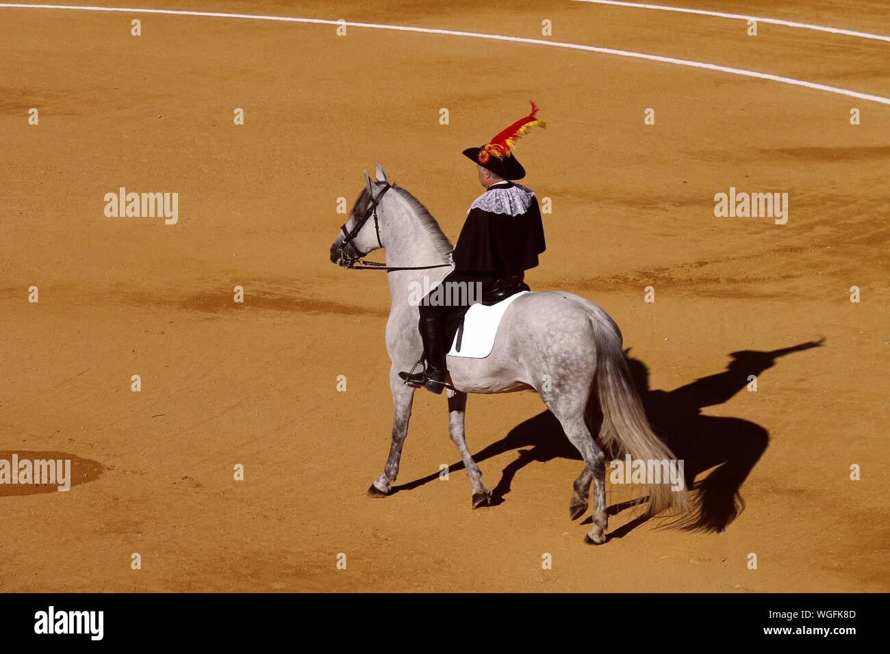 Tracking animals hi-res stock photography and images - Alamy