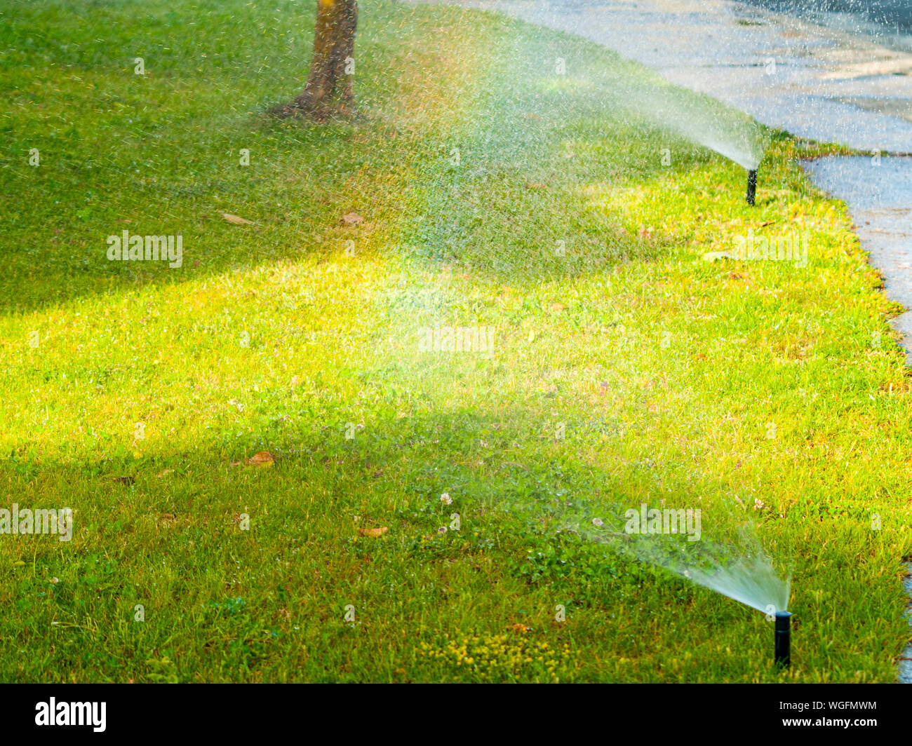 Water sprinklers hi-res stock photography and images - Alamy