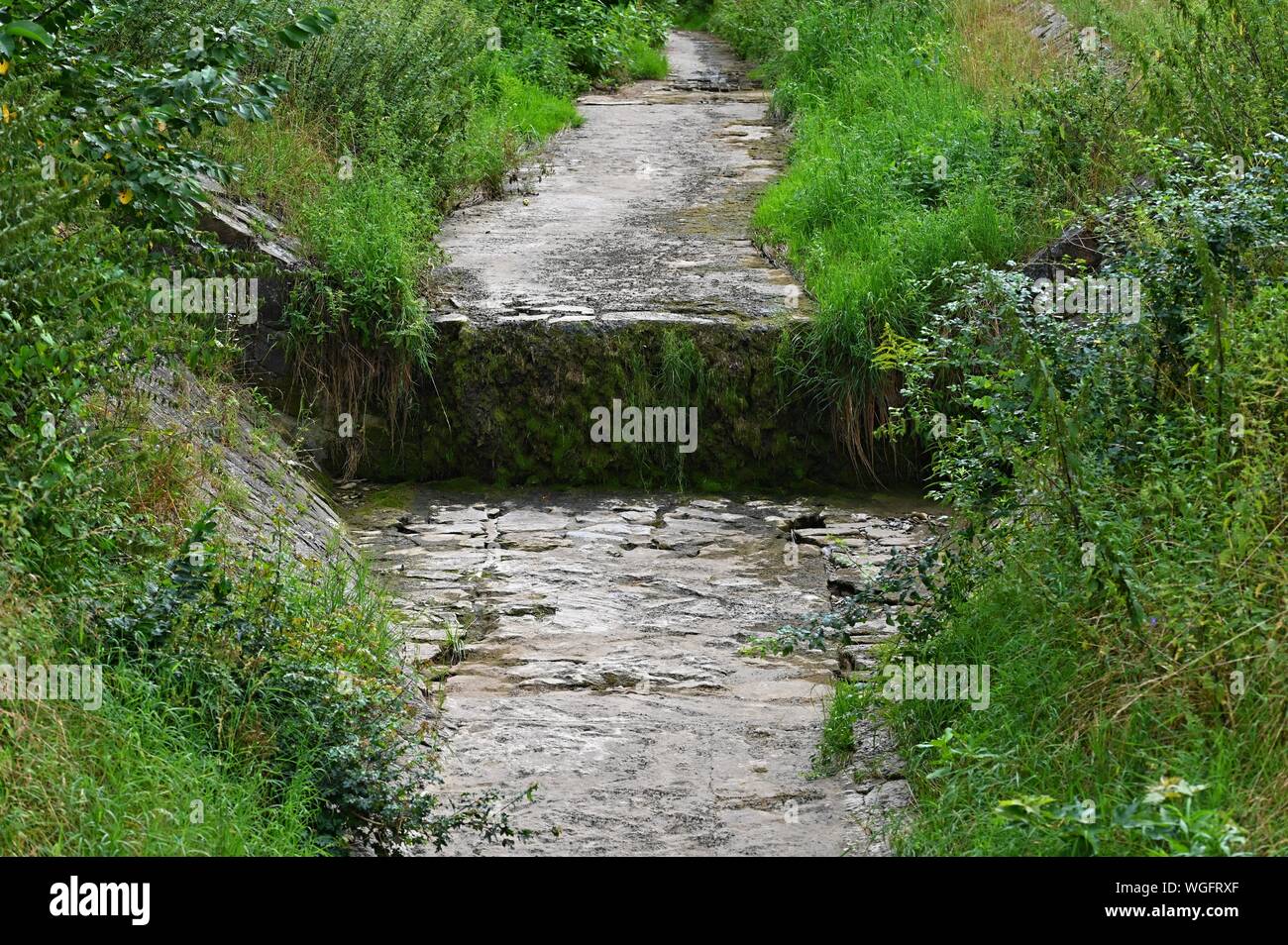Dried stream by the forest. Beautiful green nature without water. Hot ...