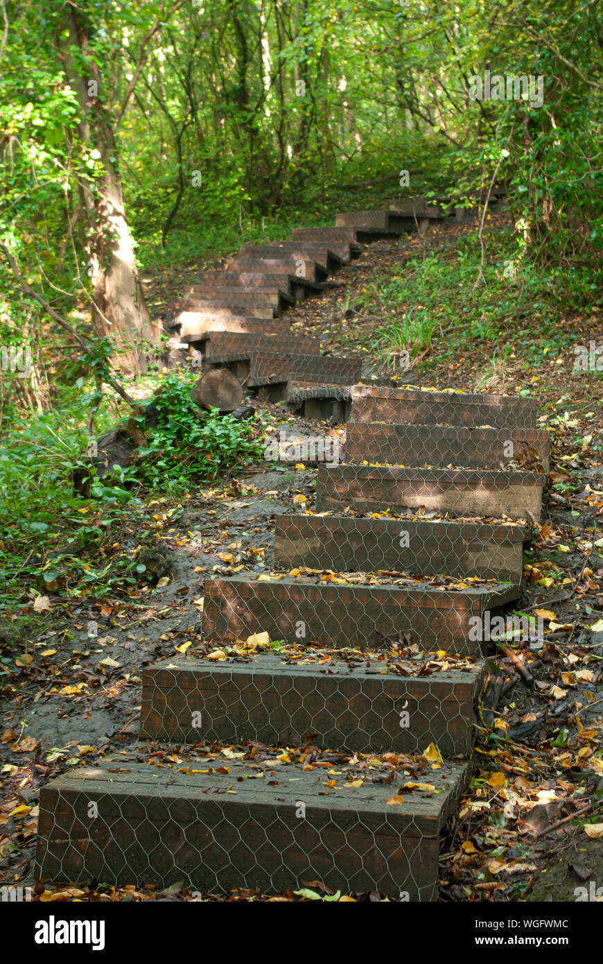 Naturalised steps hi-res stock photography and images - Alamy