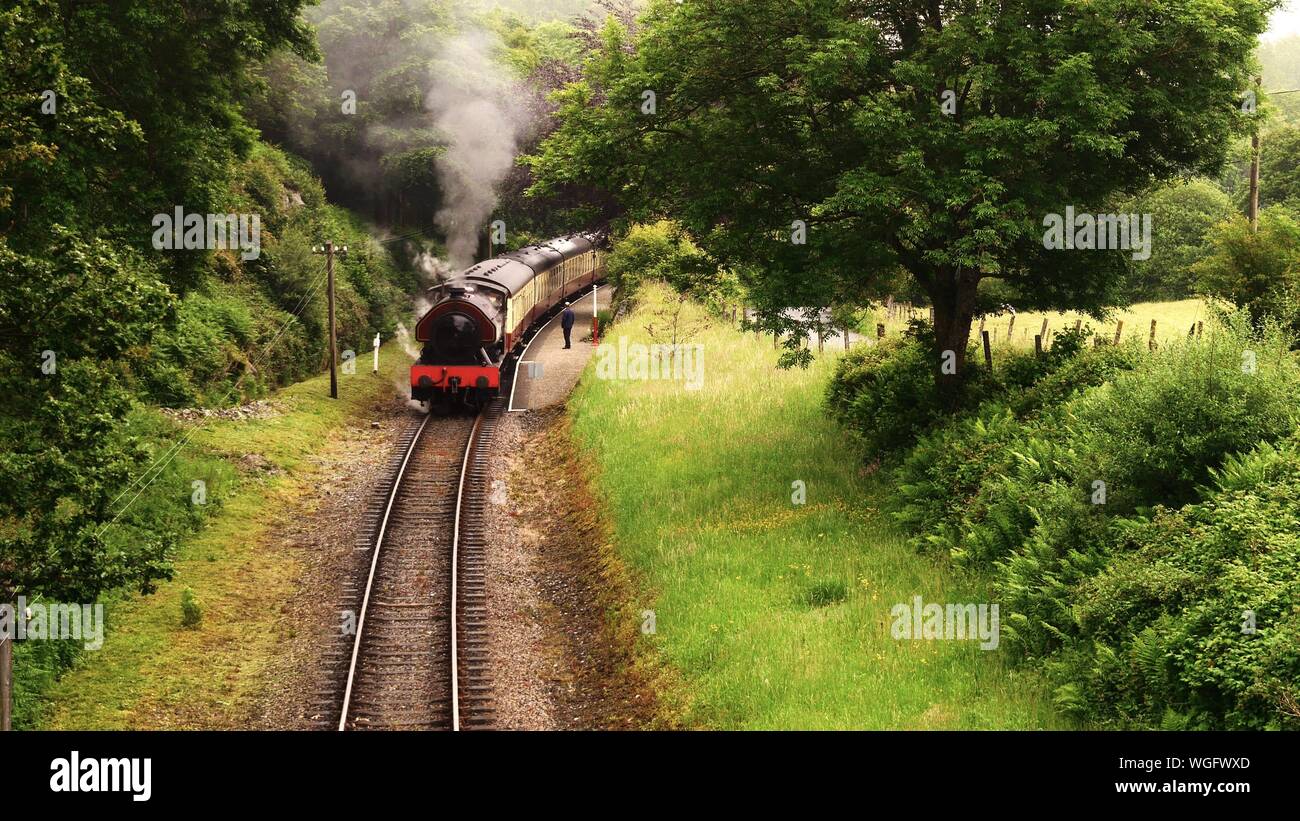 Person on train tracks hi-res stock photography and images - Alamy