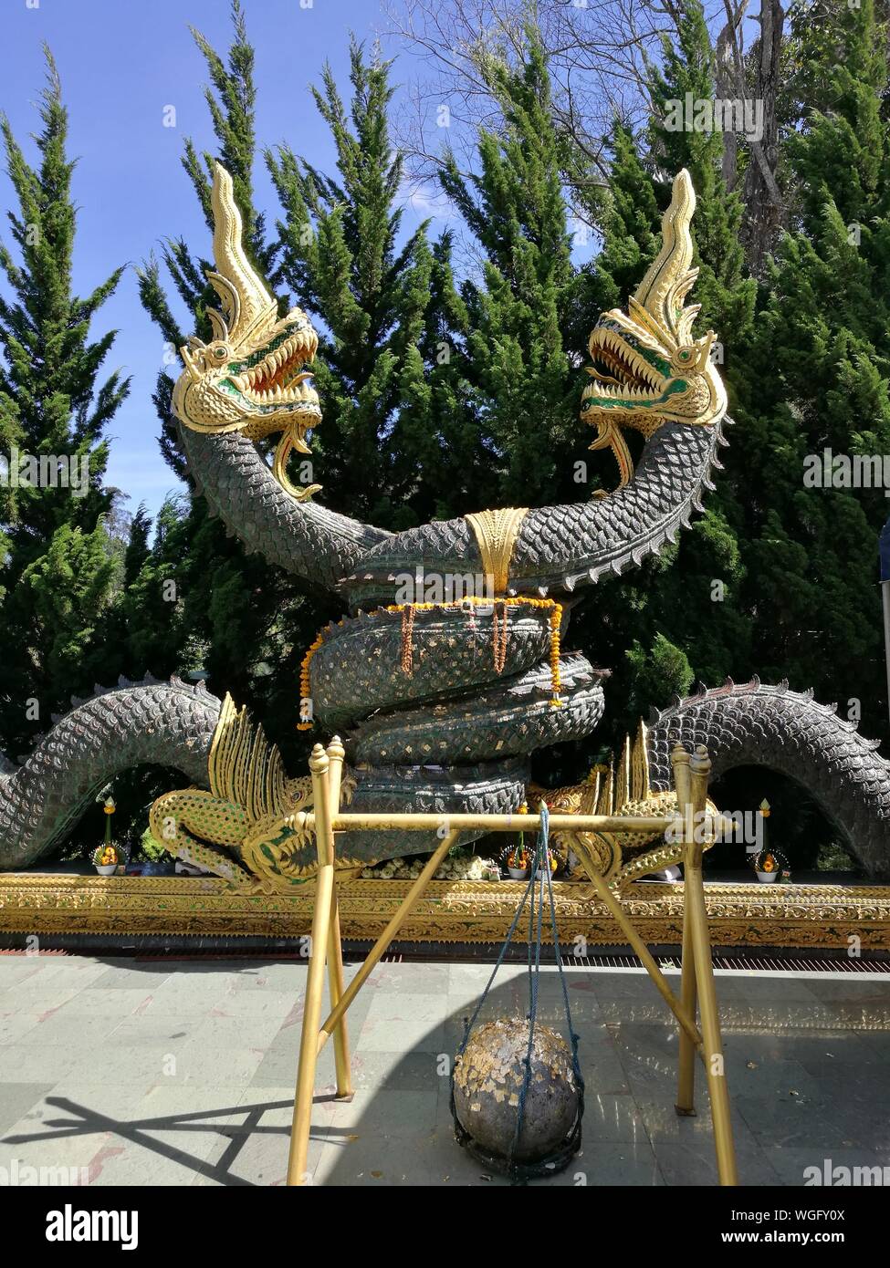 Dragons tree hi-res stock photography and images - Alamy