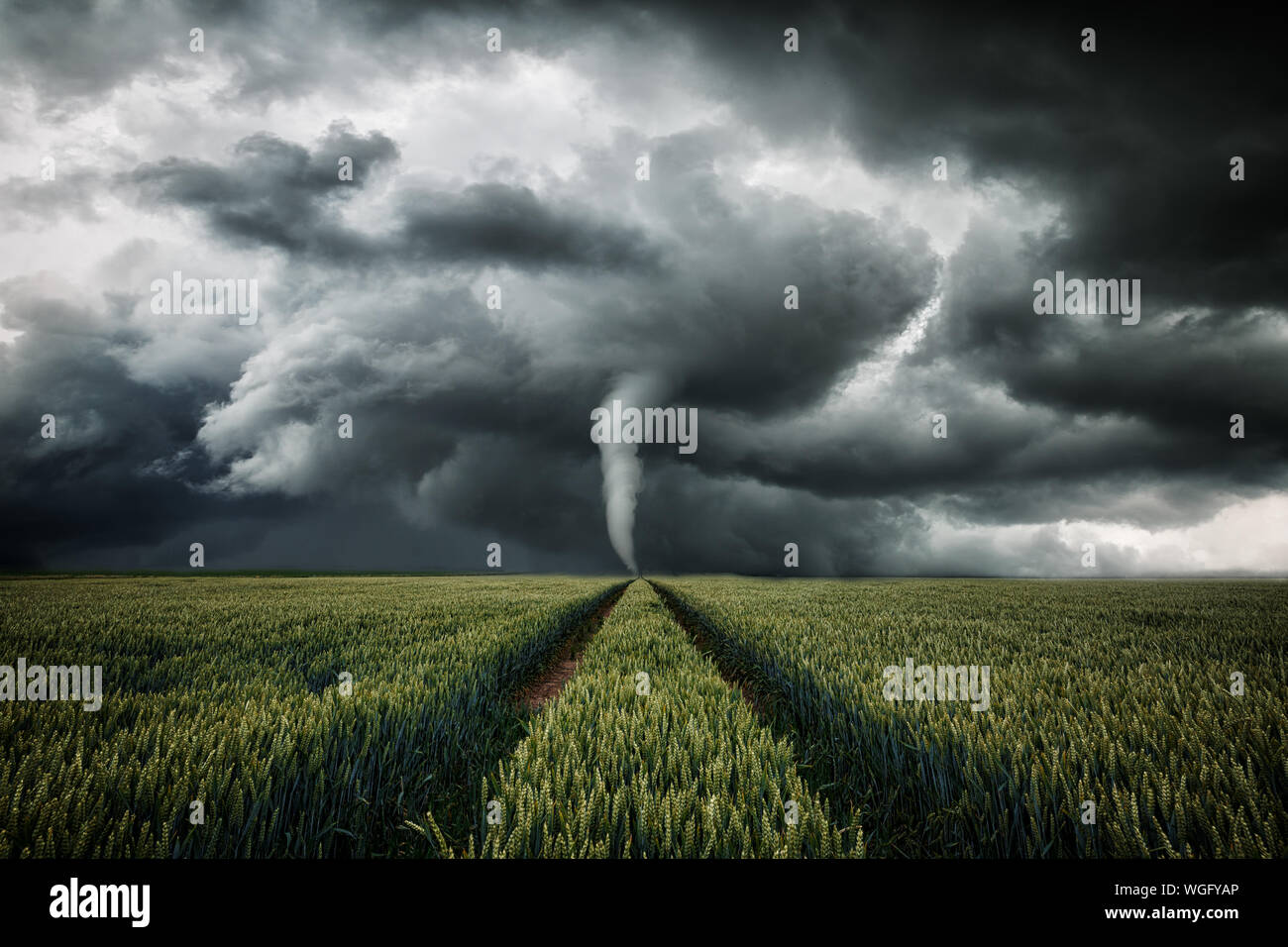 Tornado over field hi-res stock photography and images - Alamy