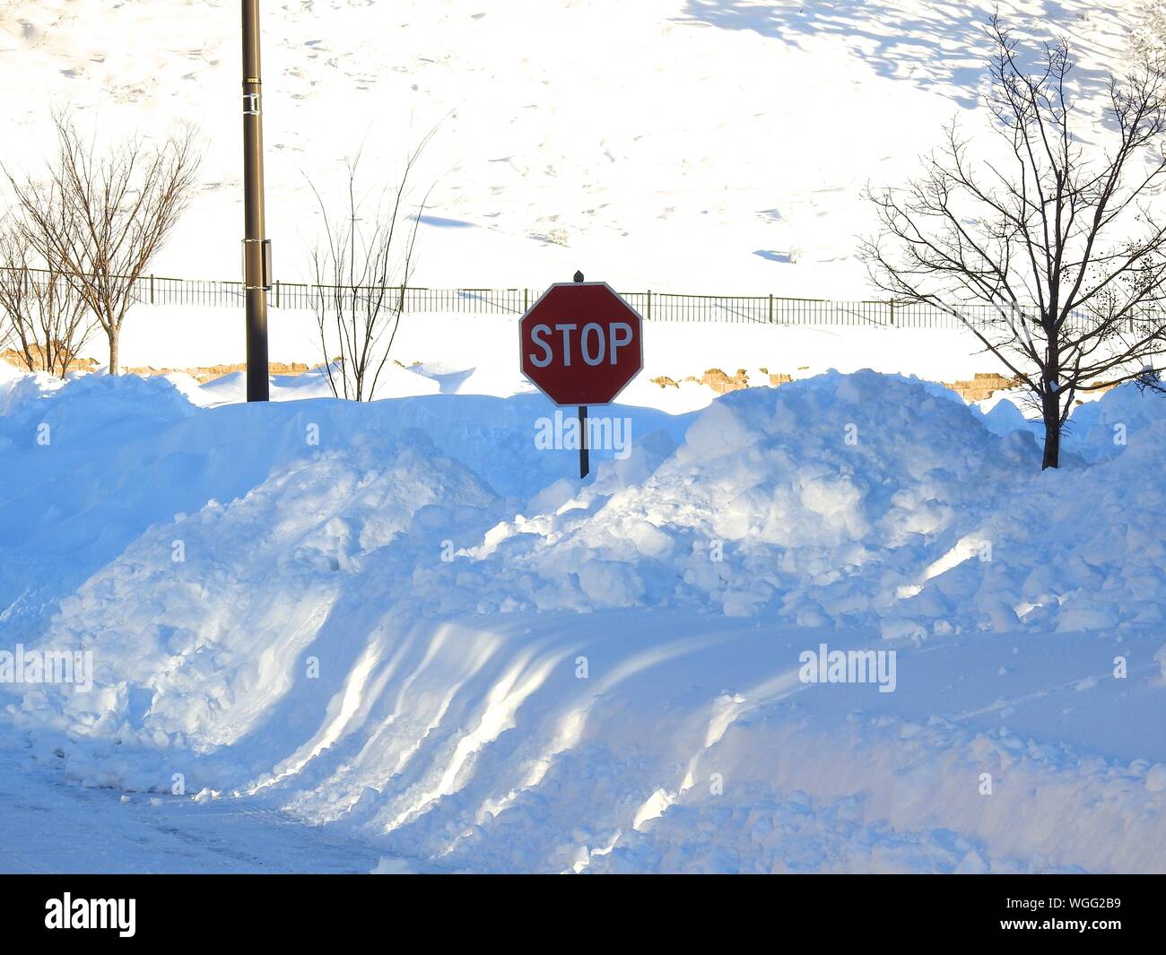 Stop sign in the snow hi-res stock photography and images - Alamy