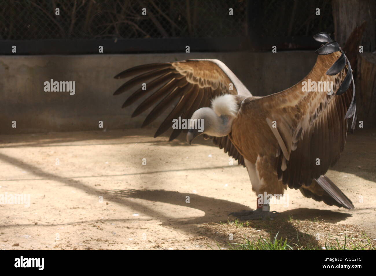 Ground level hi-res stock photography and images - Alamy