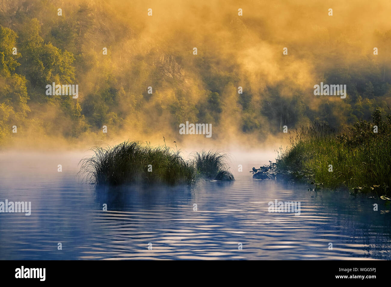 Morning fog over the river is illuminated by the rising sun. A quiet ...