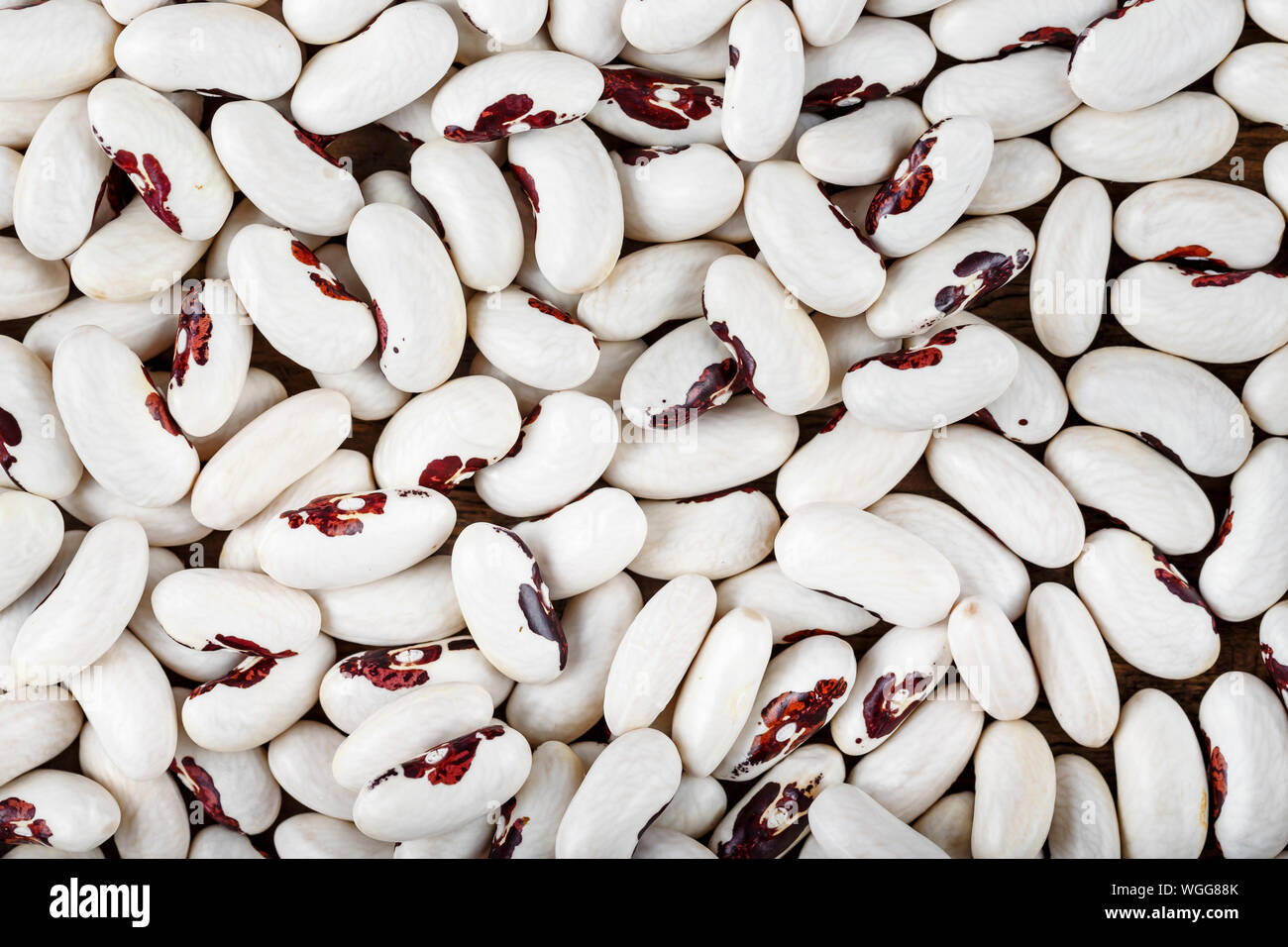 white black eye beans is scattered as a background. place for text ...