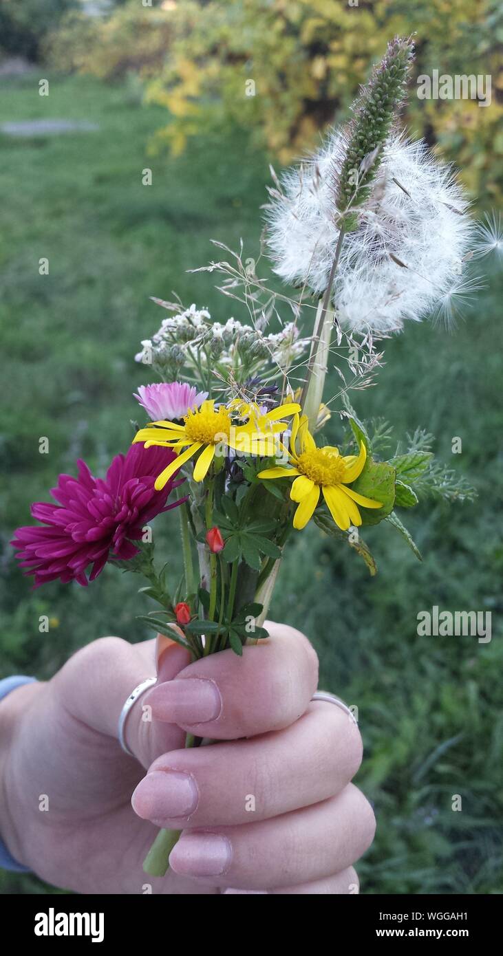 Hand bouquet of flowers hi-res stock photography and images - Alamy