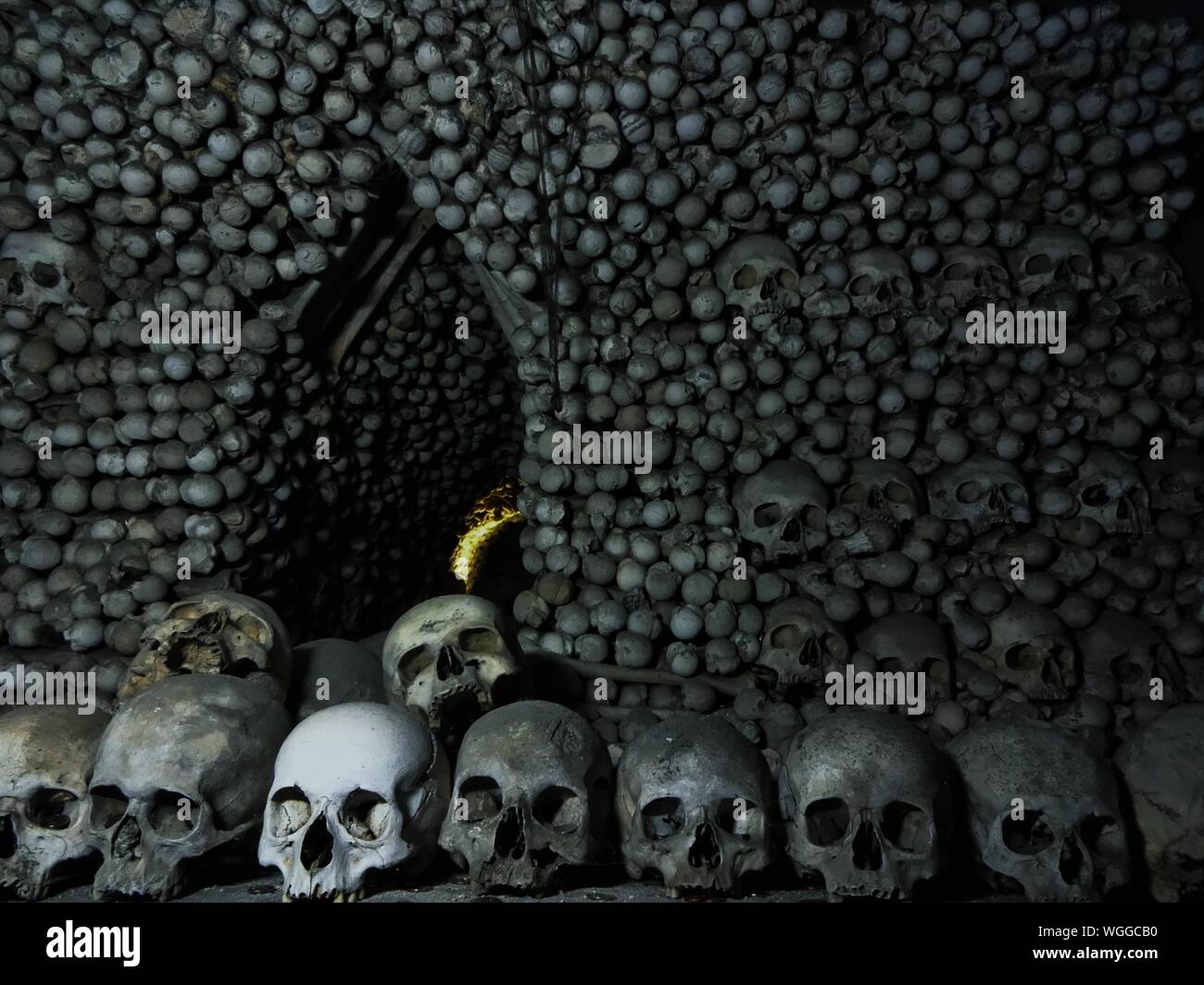 Skull wall hi-res stock photography and images - Alamy