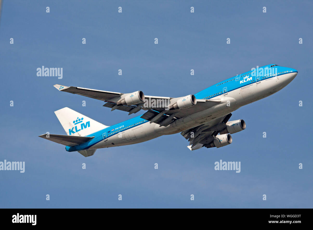 Blue Boeing 747 of the Klm just rising from the Schiphol Airport runway ...