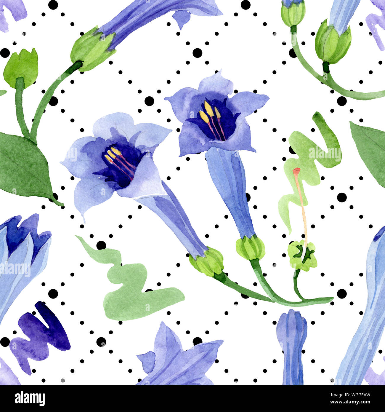 Blue brugmansia floral botanical flowers. Watercolor background ...