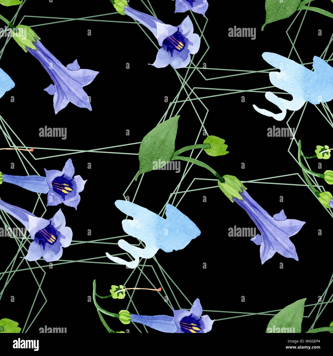 Blue brugmansia floral botanical flowers. Watercolor background ...