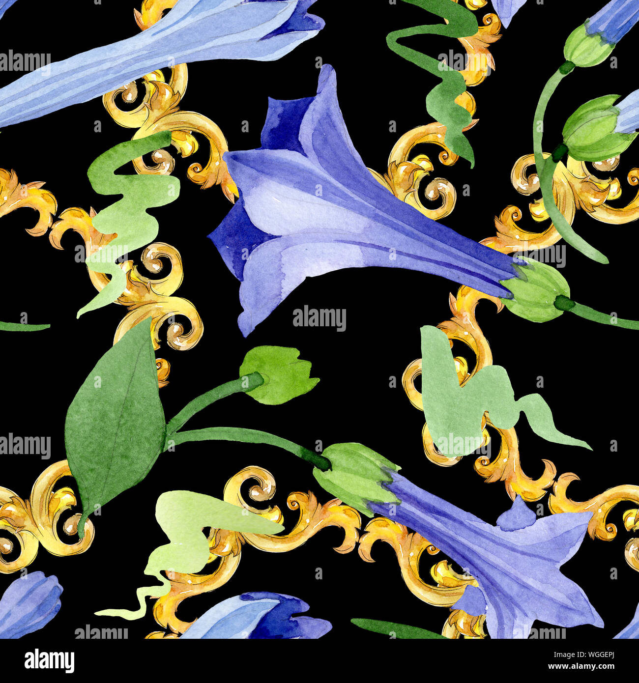 Blue brugmansia floral botanical flowers. Watercolor background ...
