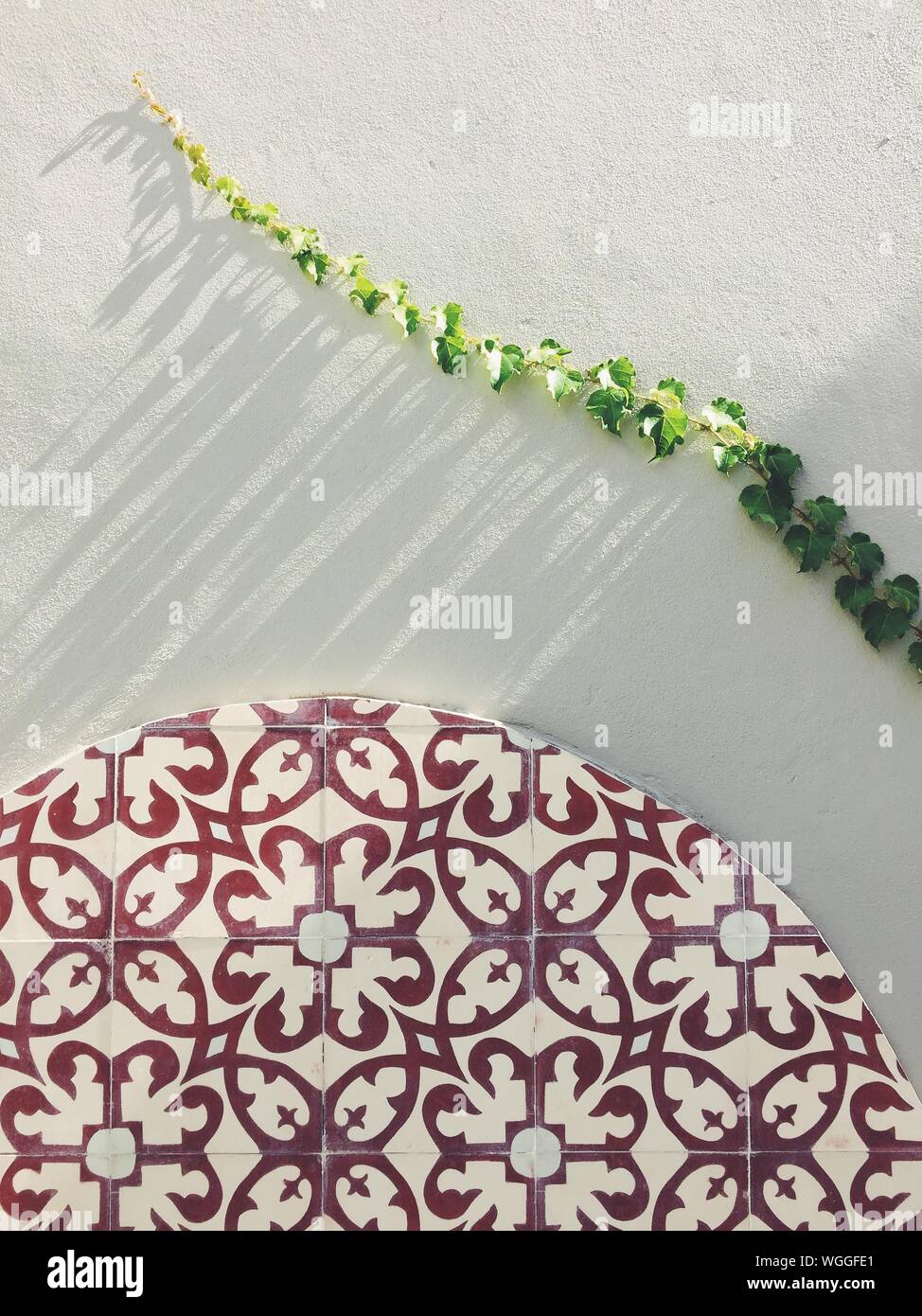 Growth on tiles hi-res stock photography and images - Alamy