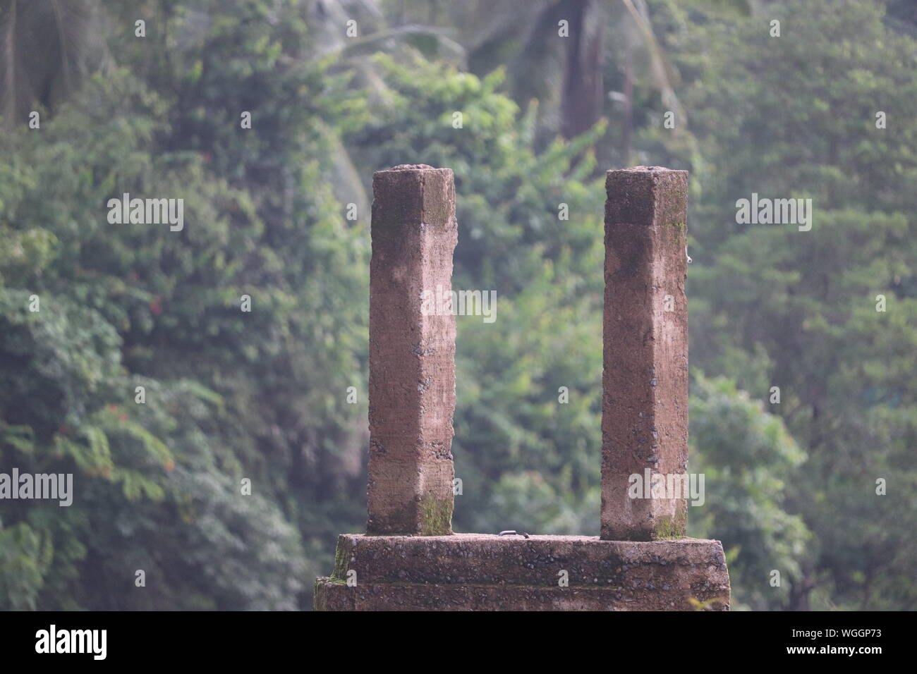 Old concrete structure in the forest between the green nature Stock ...