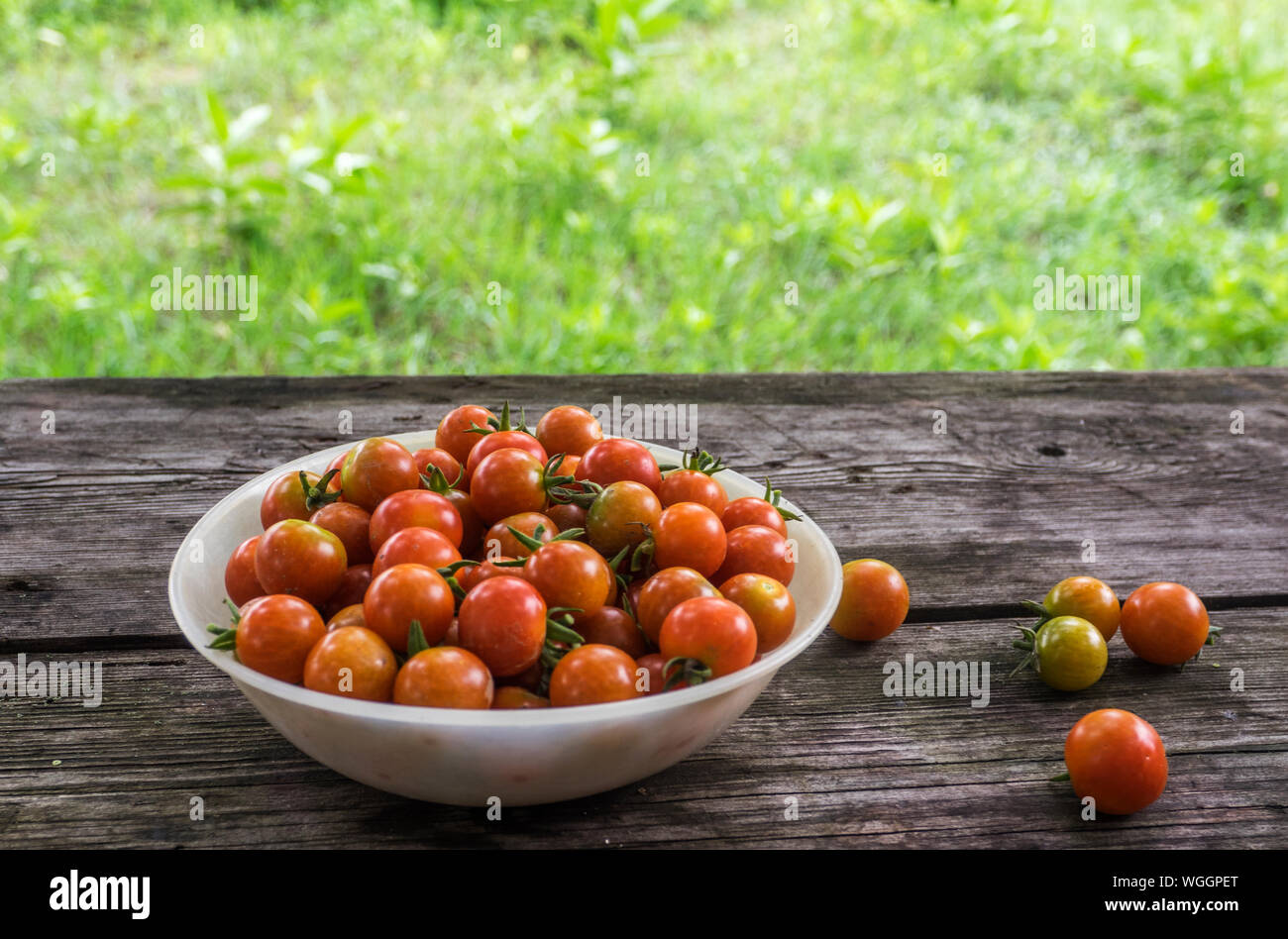 Tomato container hi-res stock photography and images - Alamy