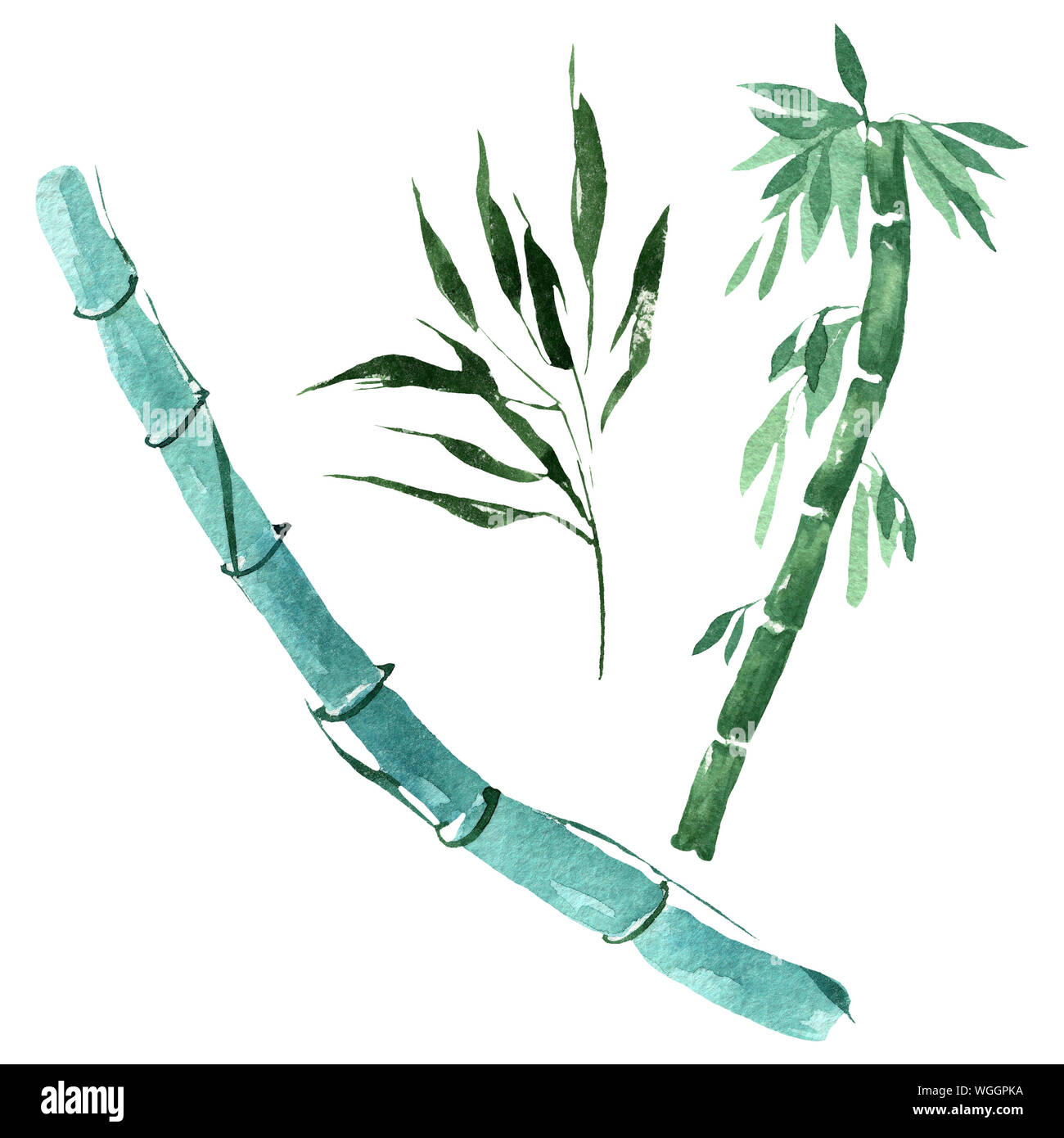 Bamboo green leaves and stalks. Watercolor background illustration set ...