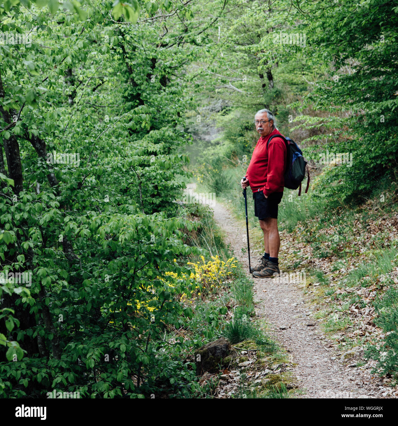 Hiking Trial View High Resolution Stock Photography and Images - Alamy
