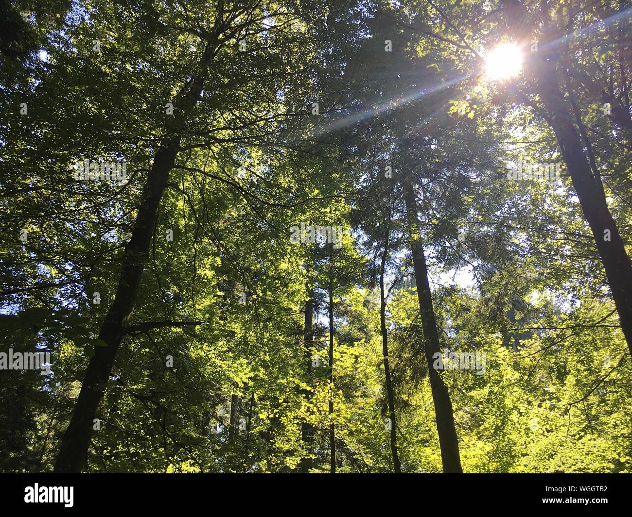 Sun angle hi-res stock photography and images - Alamy