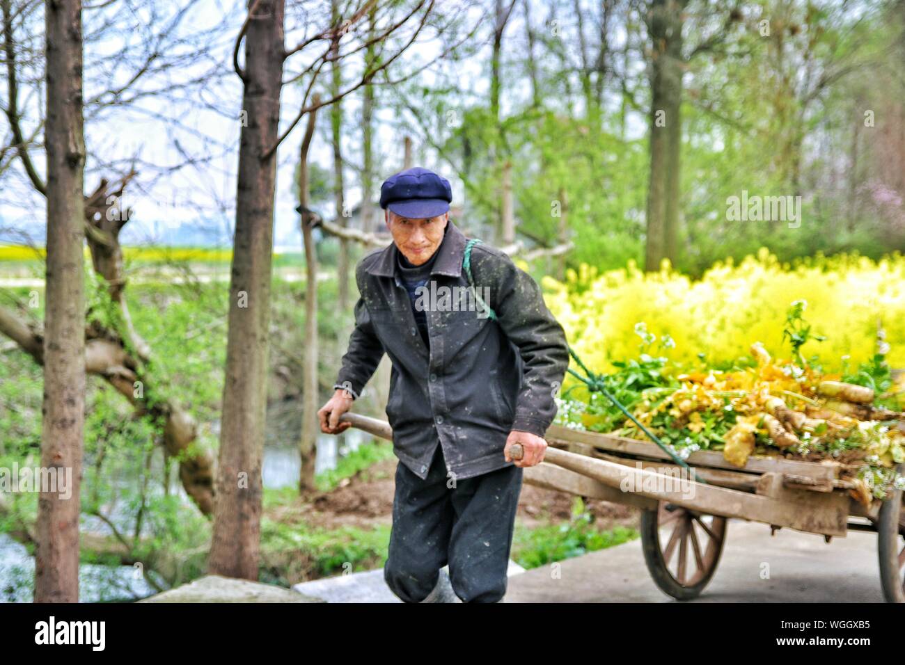 Man Pulling Cart Stock Photos & Man Pulling Cart Stock Images - Alamy