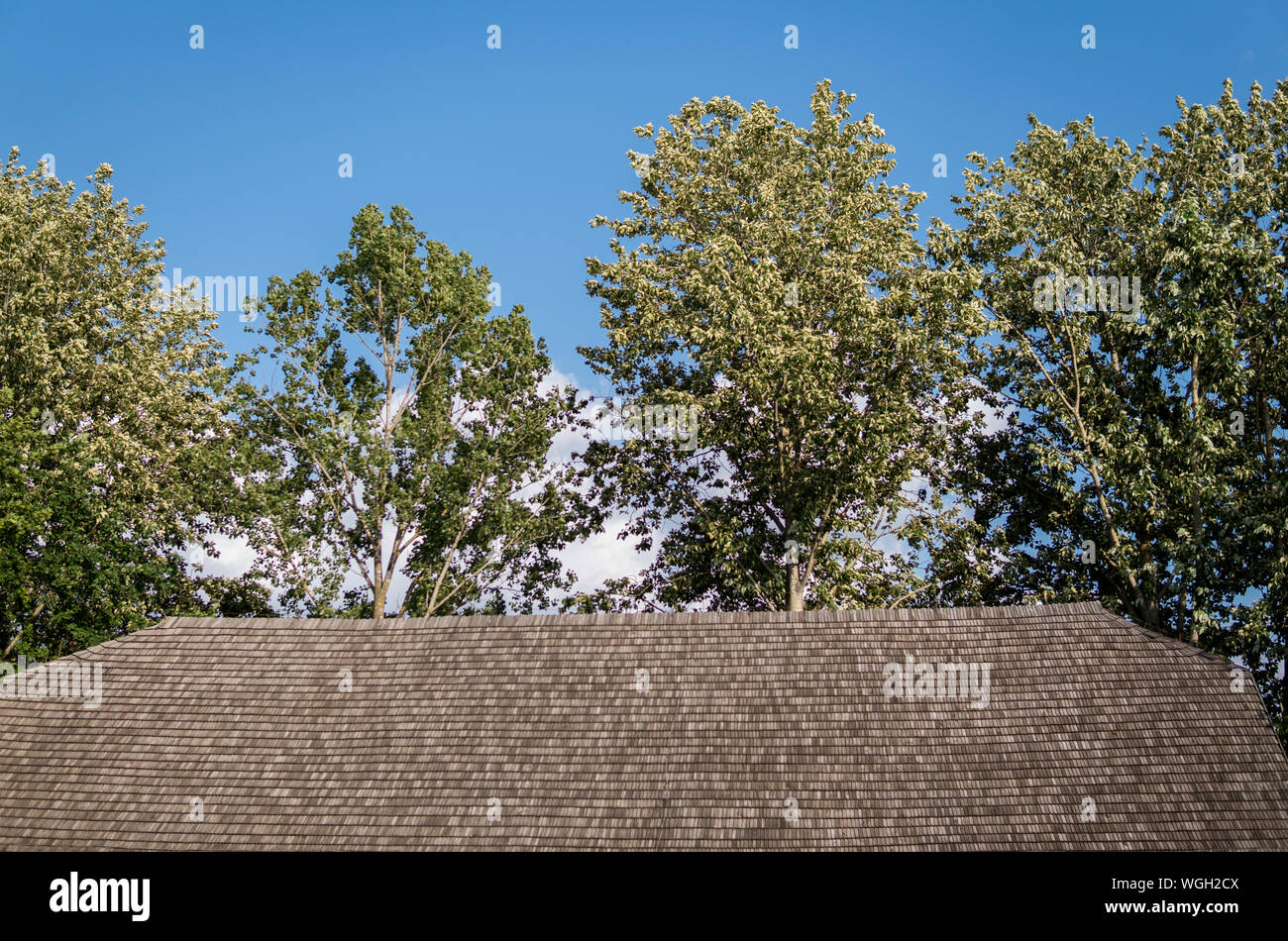 detail of a roof made from wood shingle next to trees over blue sky ...