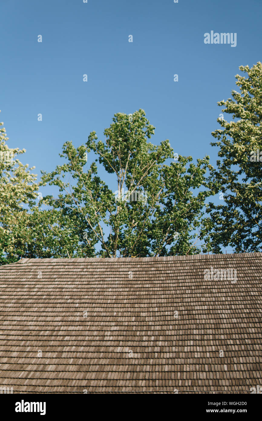 Weathered shingle roof trees hi-res stock photography and images - Alamy