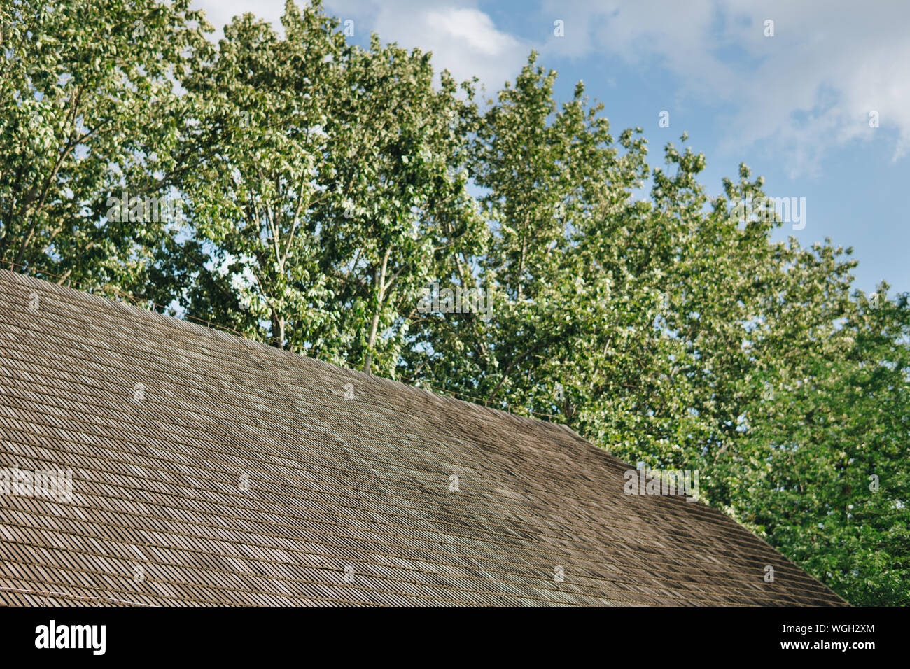 detail of a roof made from wood shingle next to trees over blue sky ...