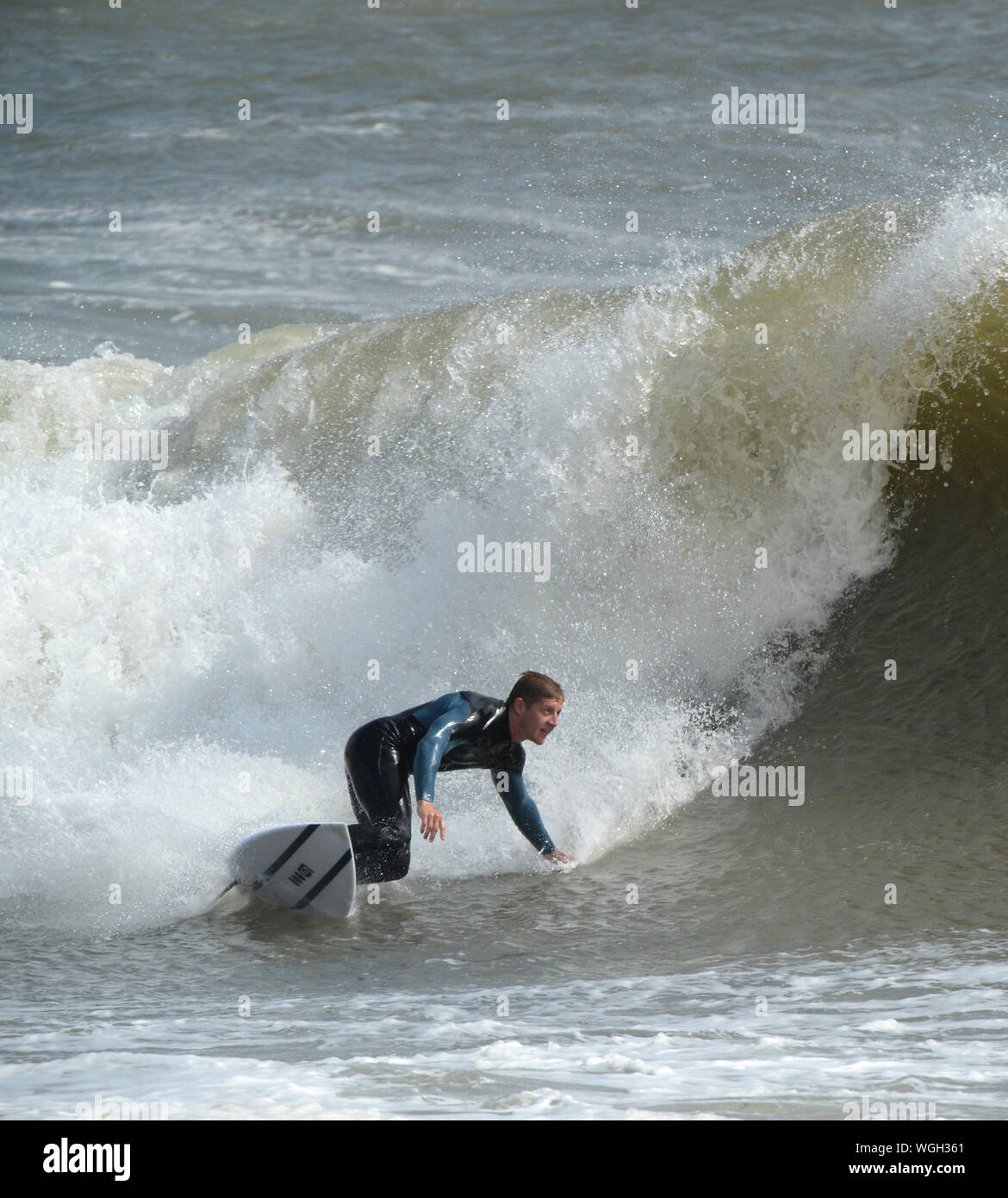 Surfing at langland bay hi-res stock photography and images - Alamy