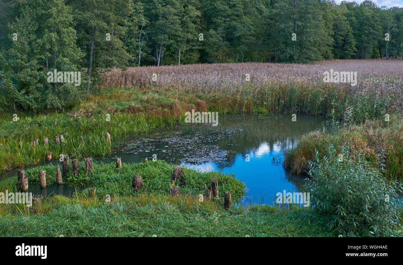 Narew river oxbow in hi-res stock photography and images - Alamy