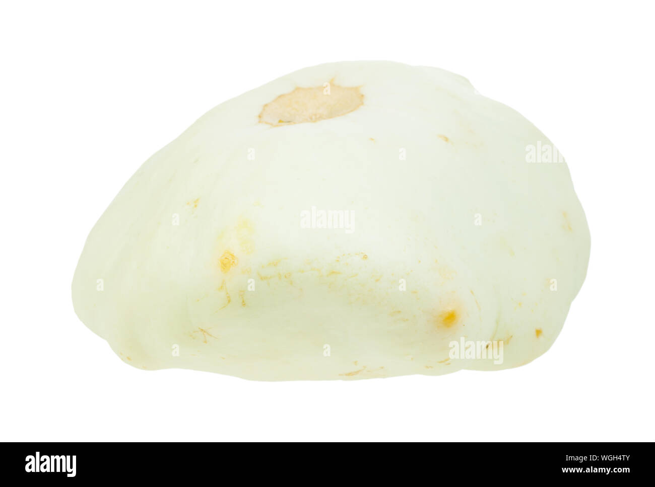 side view of Pattypan white squash isolated on white background Stock ...