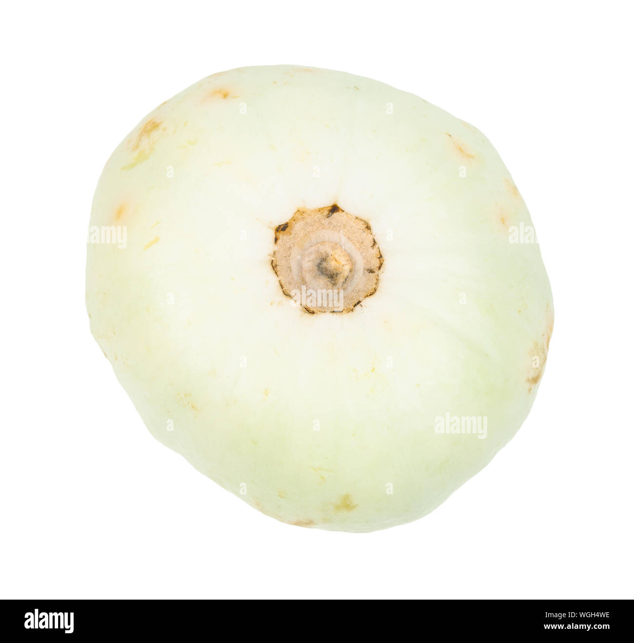 White squash hi-res stock photography and images - Alamy
