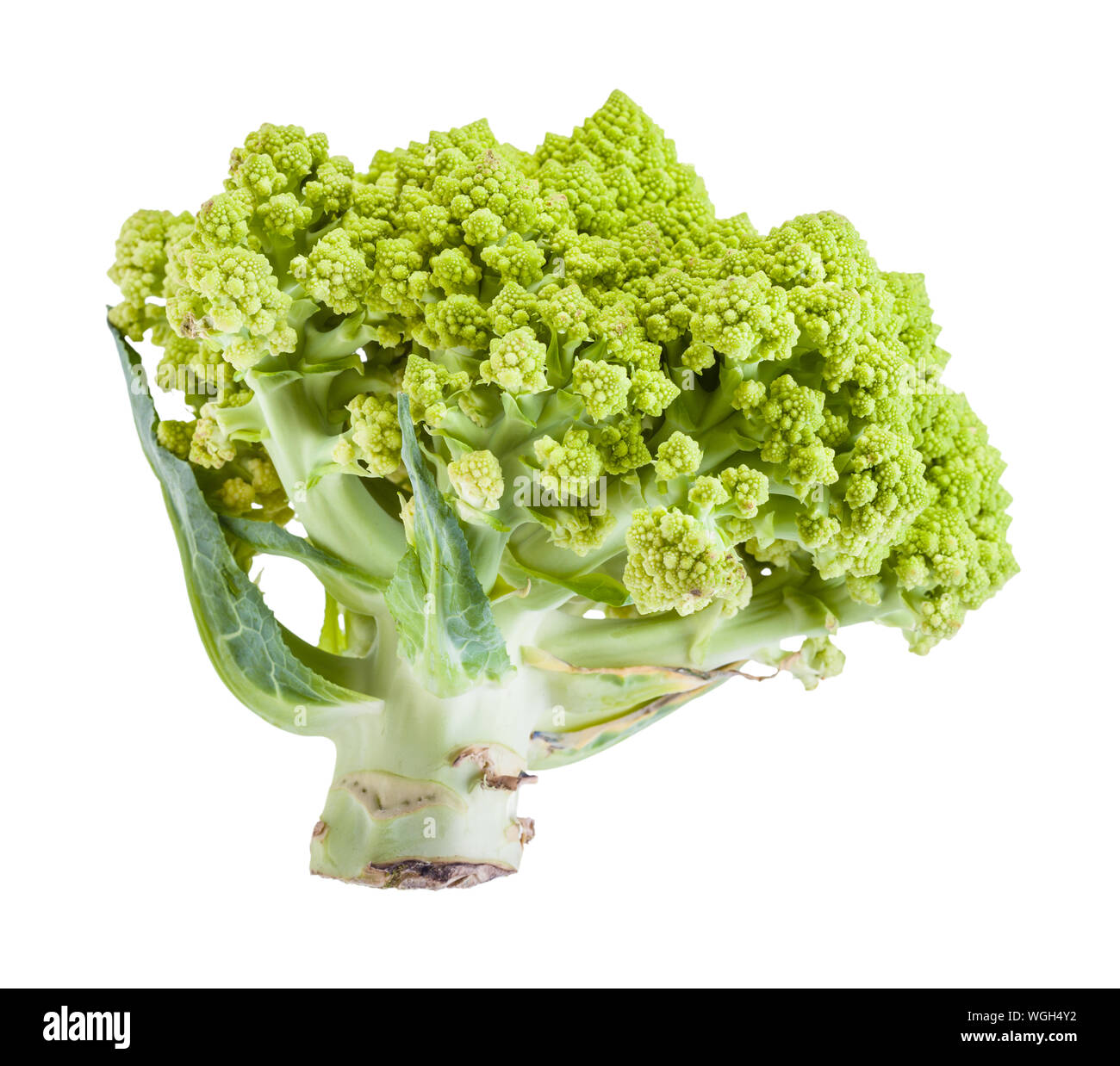 side view of fresh romanesco broccoli isolated on white background ...