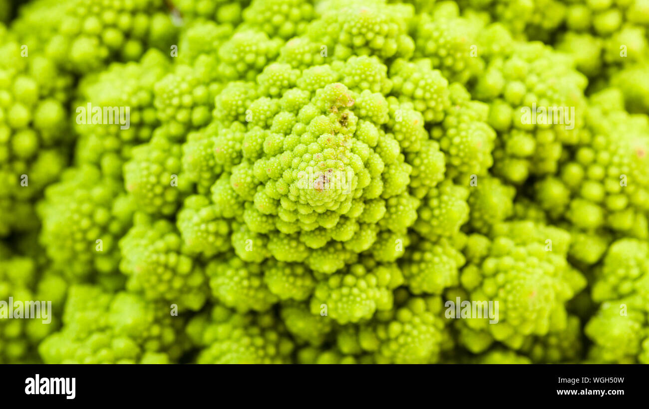 Roman green cabbage fractal detail hi-res stock photography and images ...