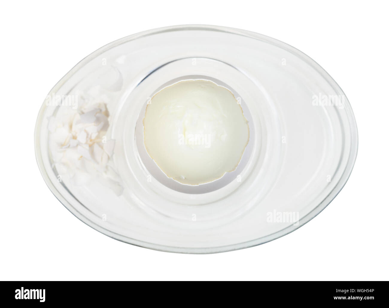Peeled out of the egg hi-res stock photography and images - Alamy