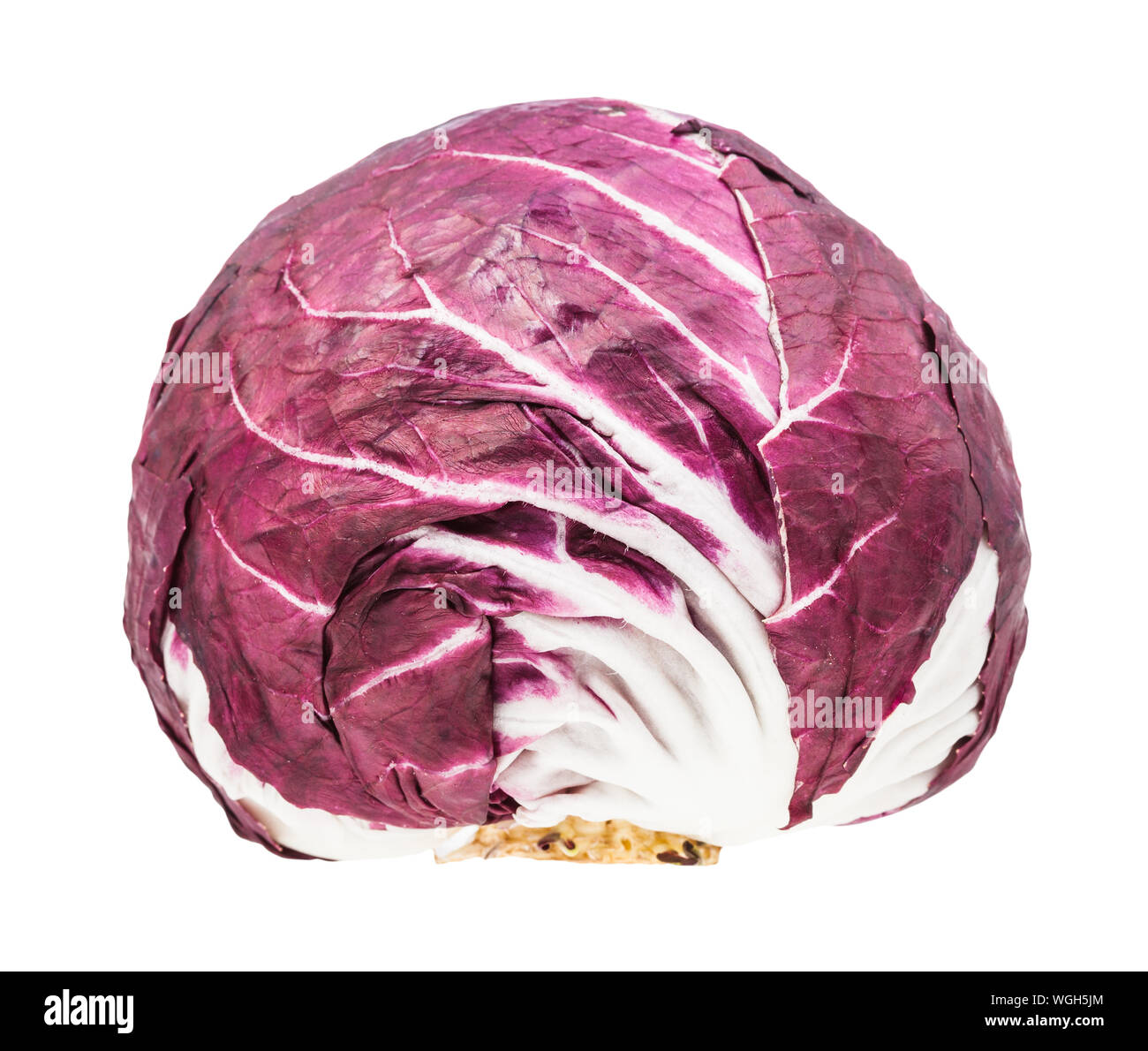 head of fresh Radicchio (Italian leaf chicory) isolated on white ...