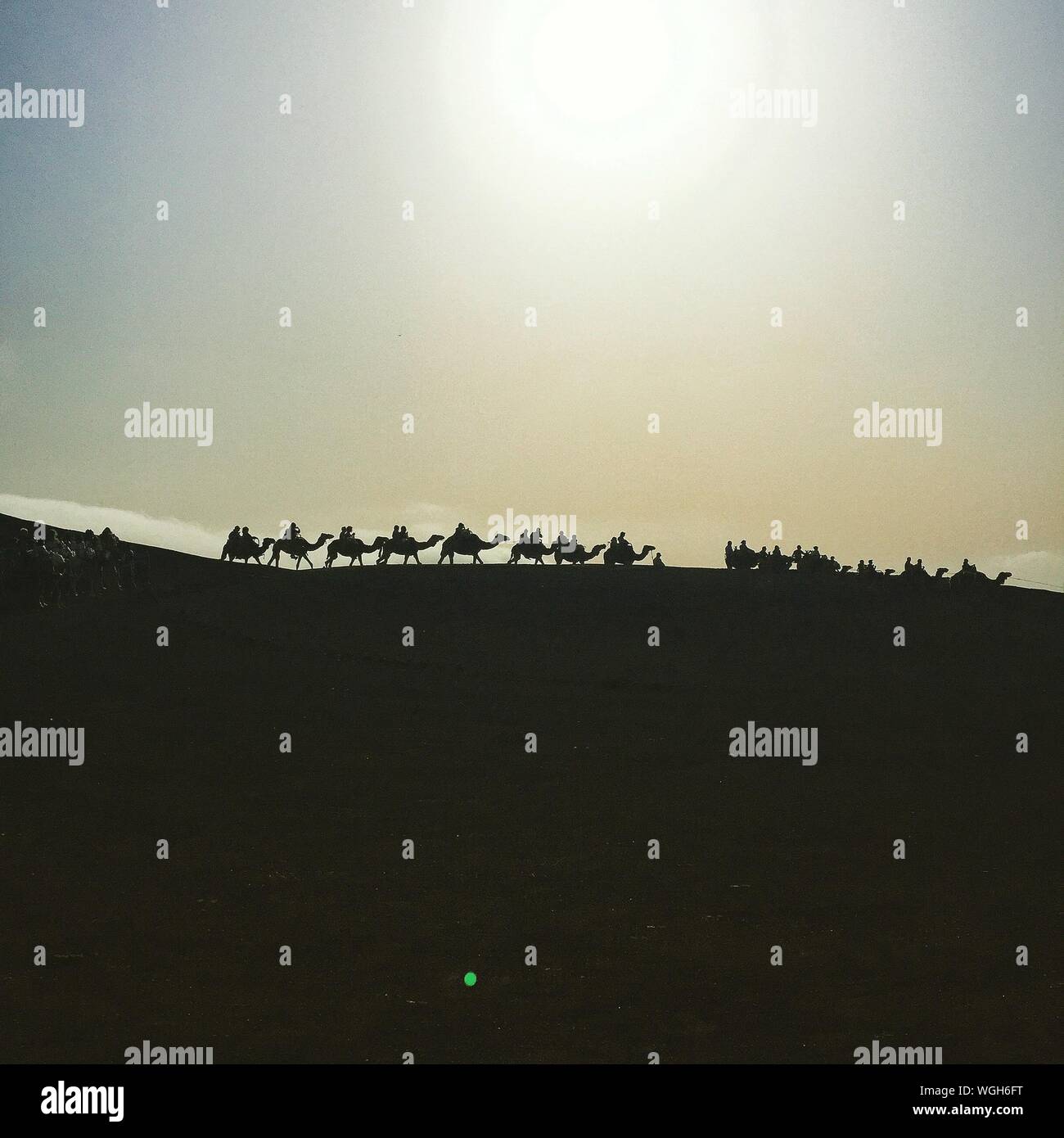 The camel train hi-res stock photography and images - Alamy