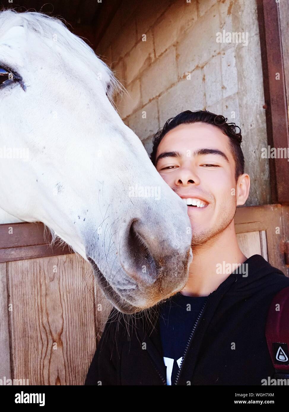 Stable activity hi-res stock photography and images - Alamy