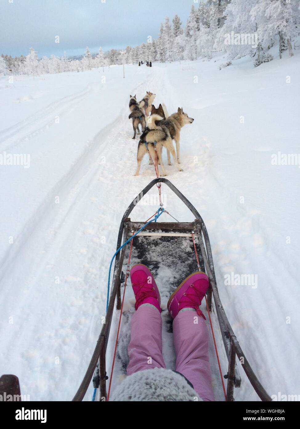 Sled snow hi-res stock photography and images - Alamy
