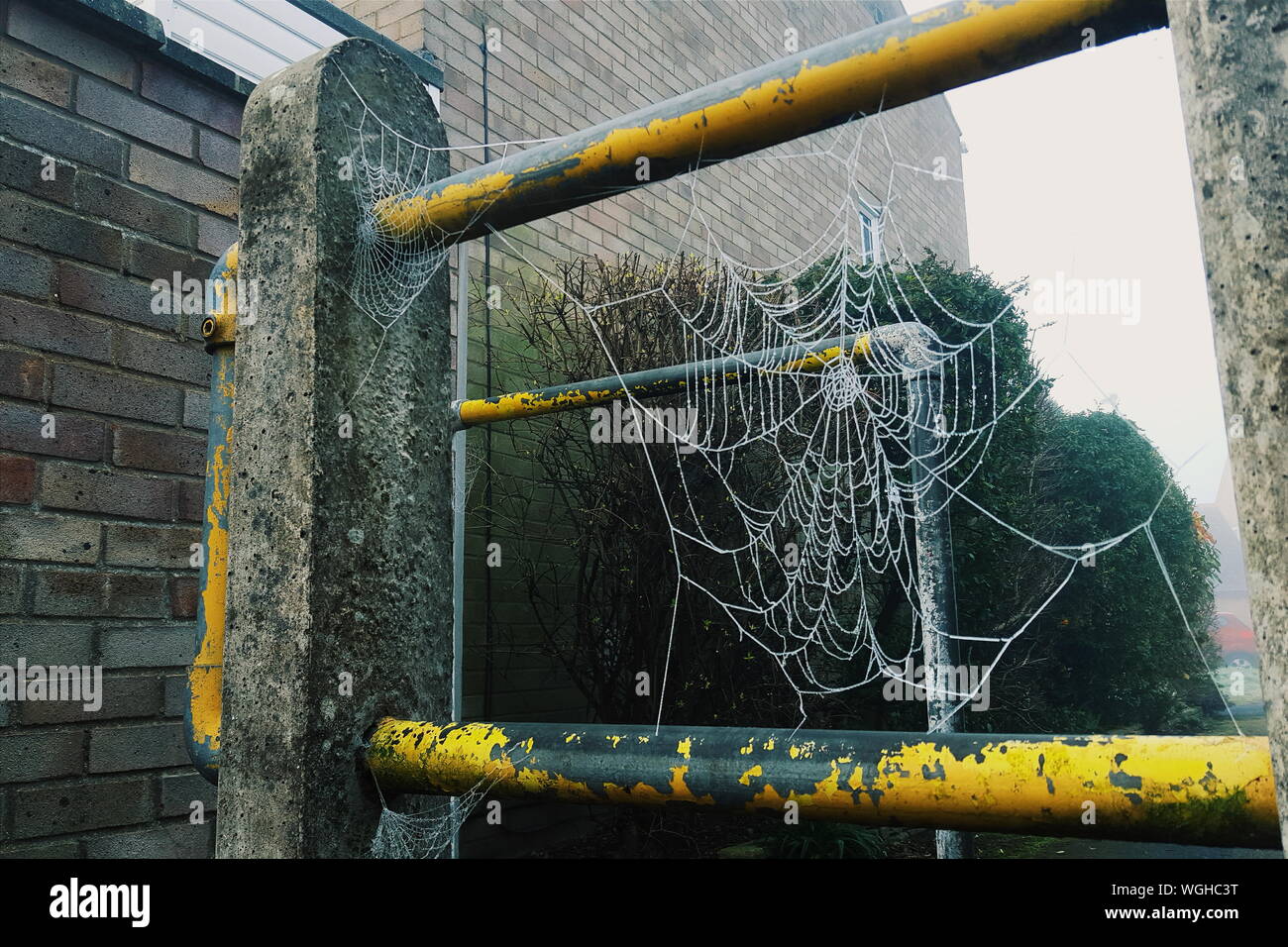 Spider Web Architecture Nature High Resolution Stock Photography and ...