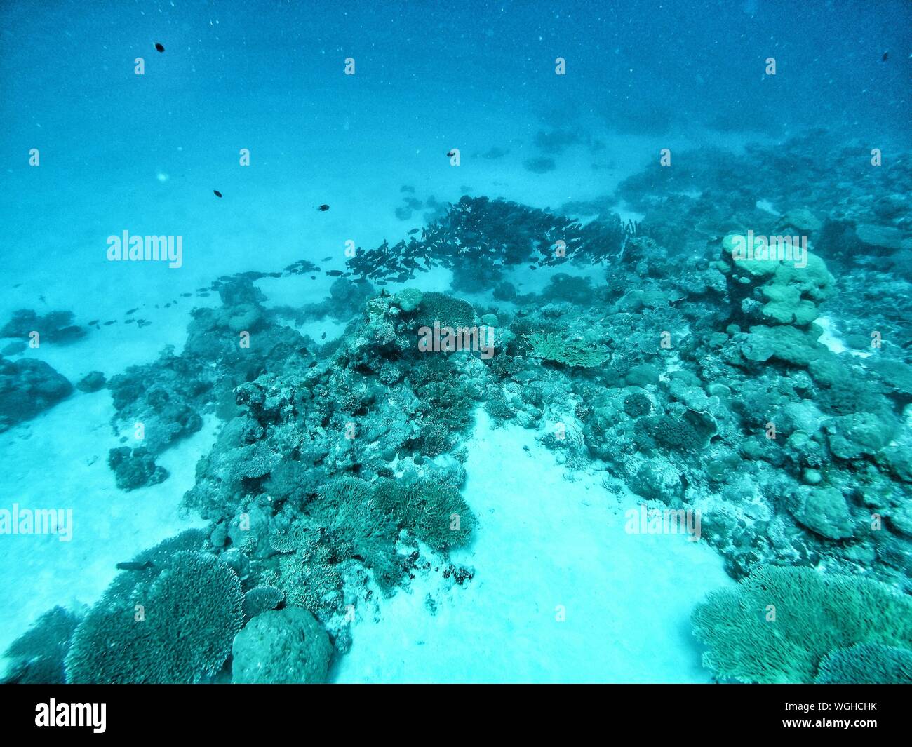 Deep Ocean Floor High Resolution Stock Photography and Images - Alamy