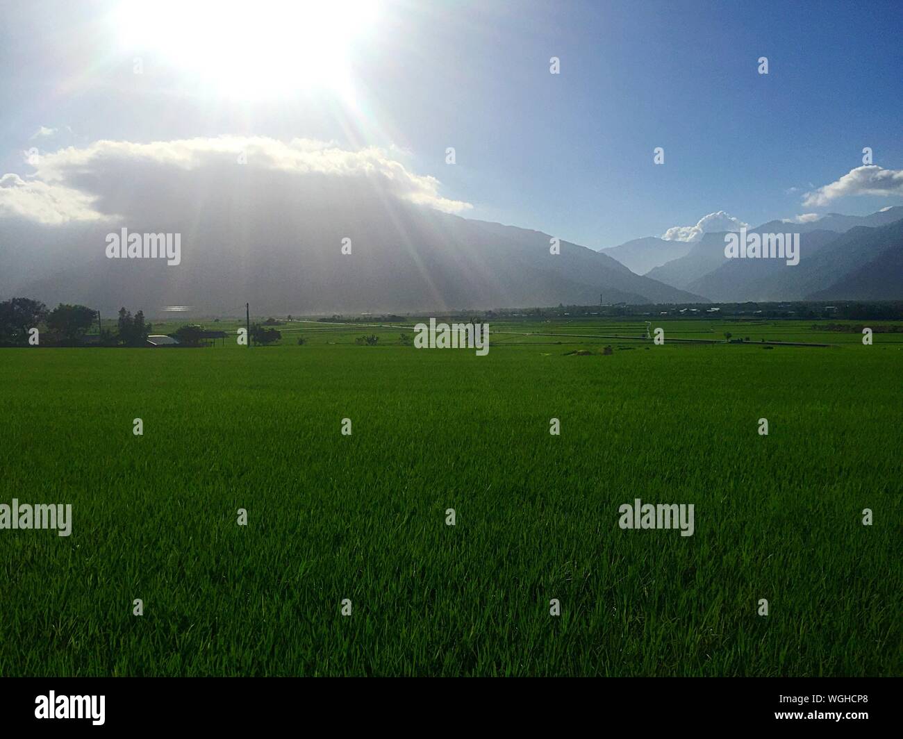 Crop field sky sun cloud hi-res stock photography and images - Alamy