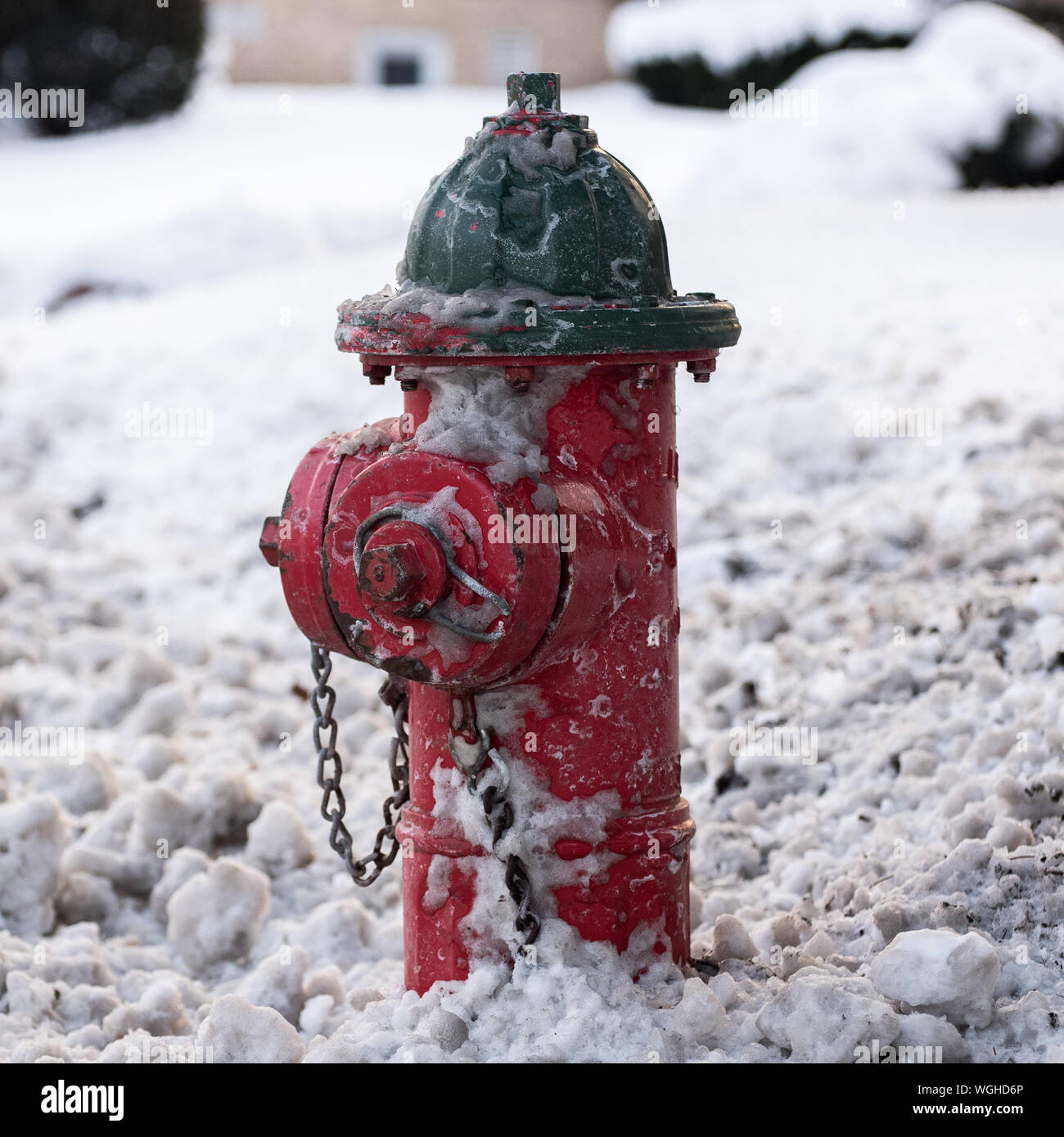 Red fire hydrant in snow hi-res stock photography and images - Alamy