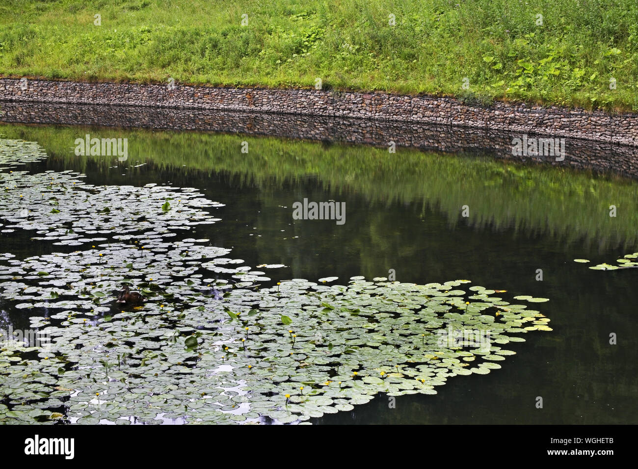 Valley of Slavyanka river in Pavlovsk. Russia Stock Photo - Alamy