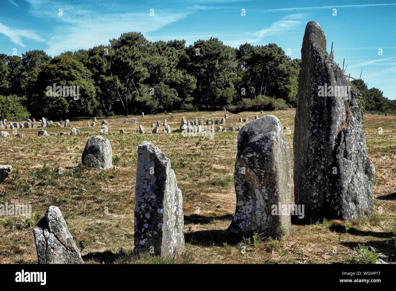 Carnac Neolithic Sites